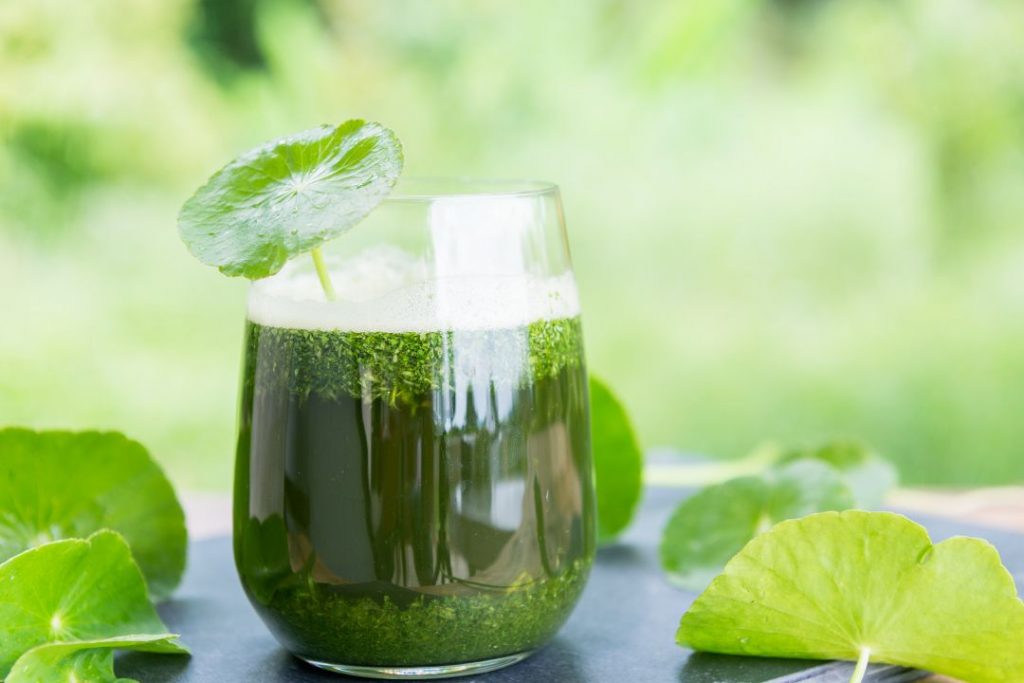 10 Loại Nước Giúp Thanh Lọc Cơ Thể Ngày Tết | Nước Uống Aquafina